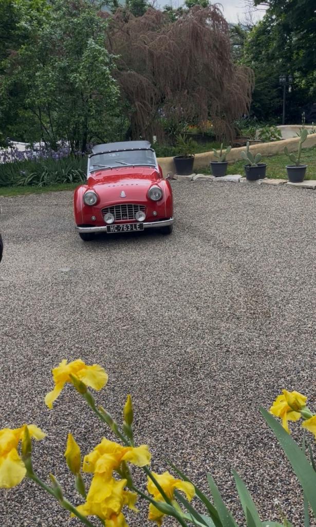 Triumph TR3 de 1956 à vendre - voiture ancienne de collection