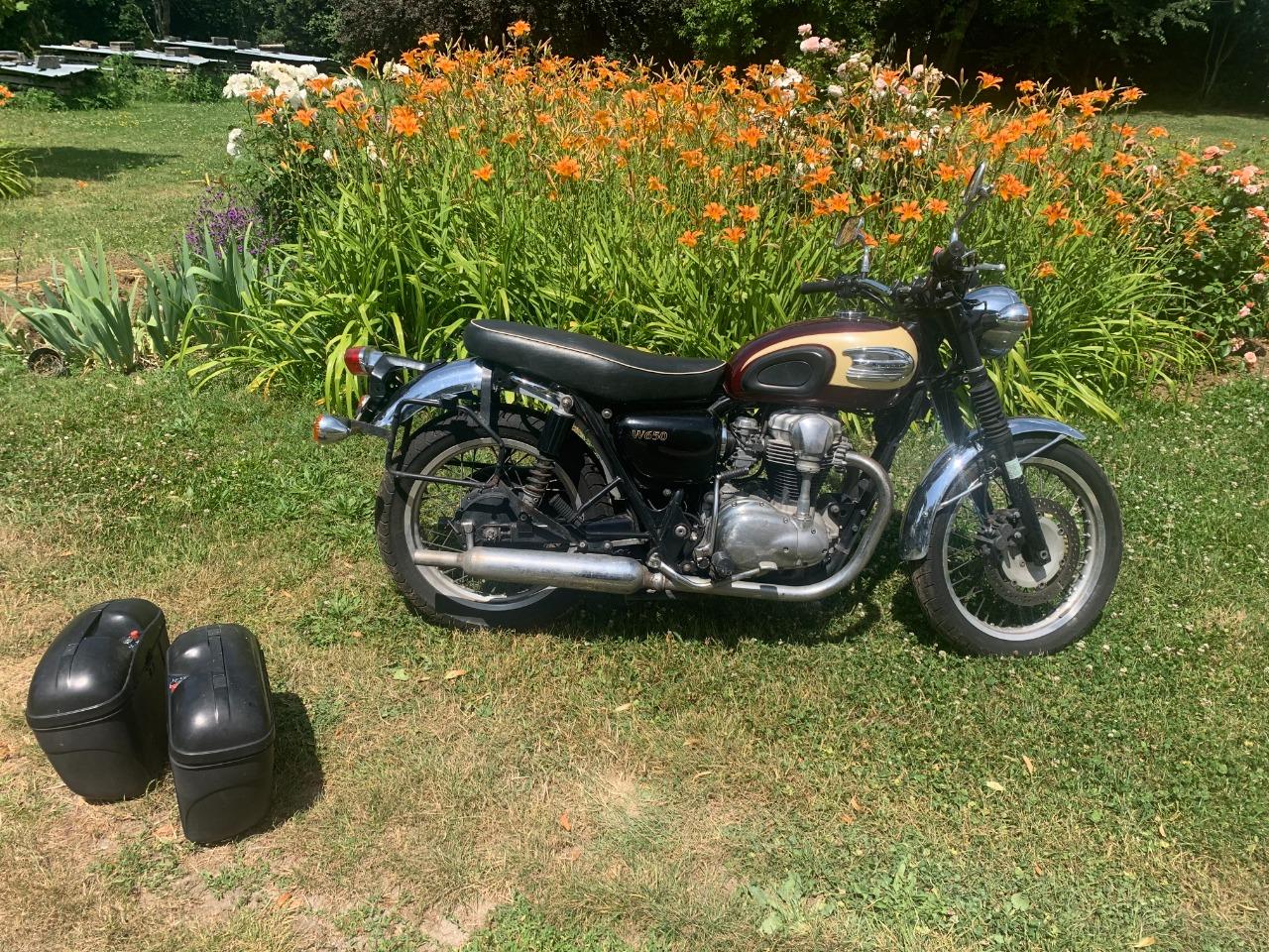 Kawasaki W650 de 2000 à vendre - moto ancienne de collection