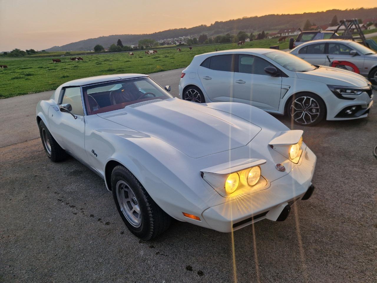 Chevrolet Corvette Stingray 76 de 1976 à vendre - voiture ancienne de ...