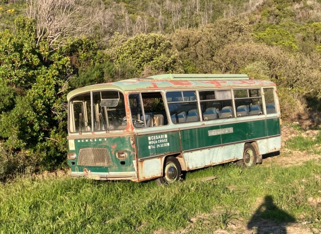 Berliet Pak 50 Autocar de 1965 à vendre - utilitaire ancien de ...