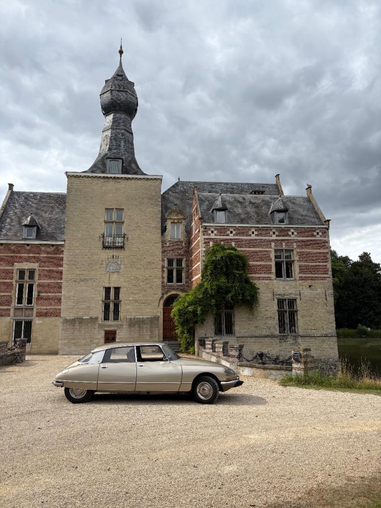 Citroen DS DS 21 IE PALLAS de 1971 à vendre - voiture ancienne de ...