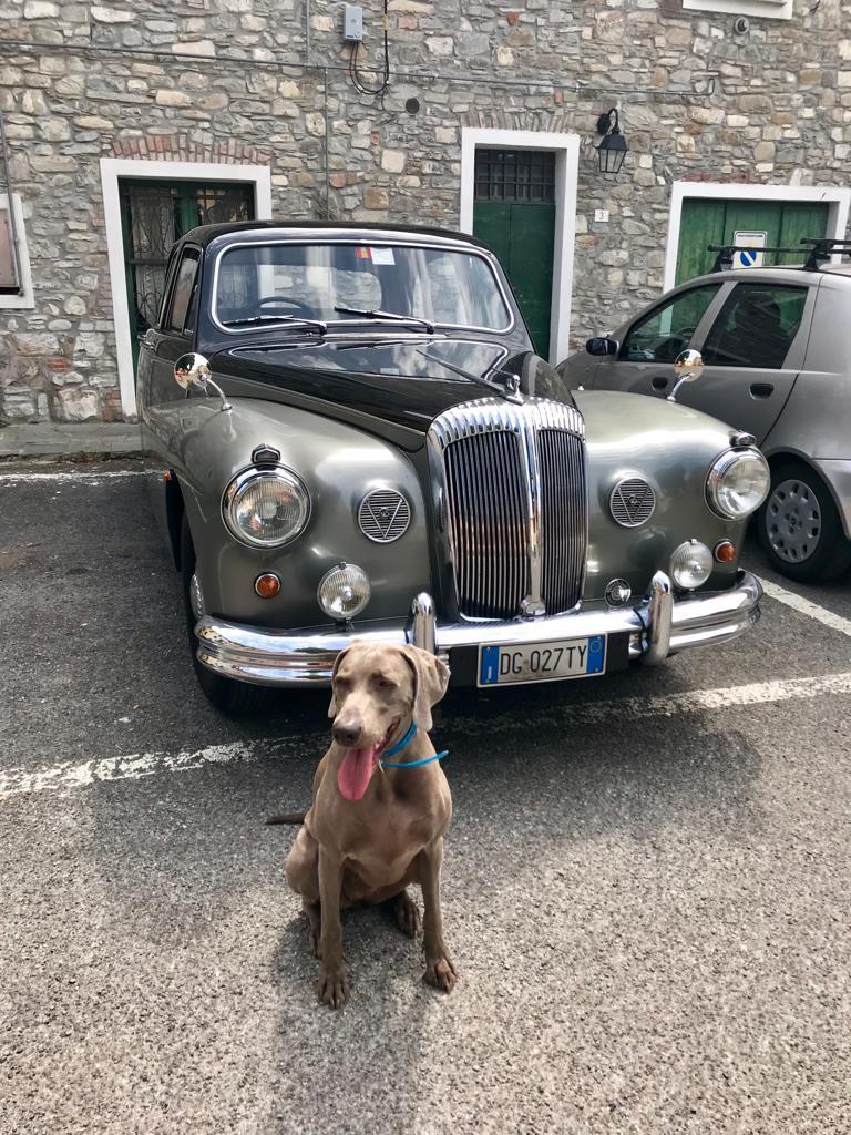 Daimler Majestic Majestic Major V 8 de 1961 à vendre - voiture ancienne ...